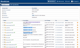 Developer Nation Community
